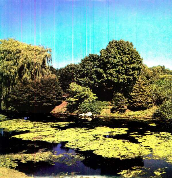 Osta Shellac - Terraform (LP) (Vinyyli) levy netistä – SumashopFI