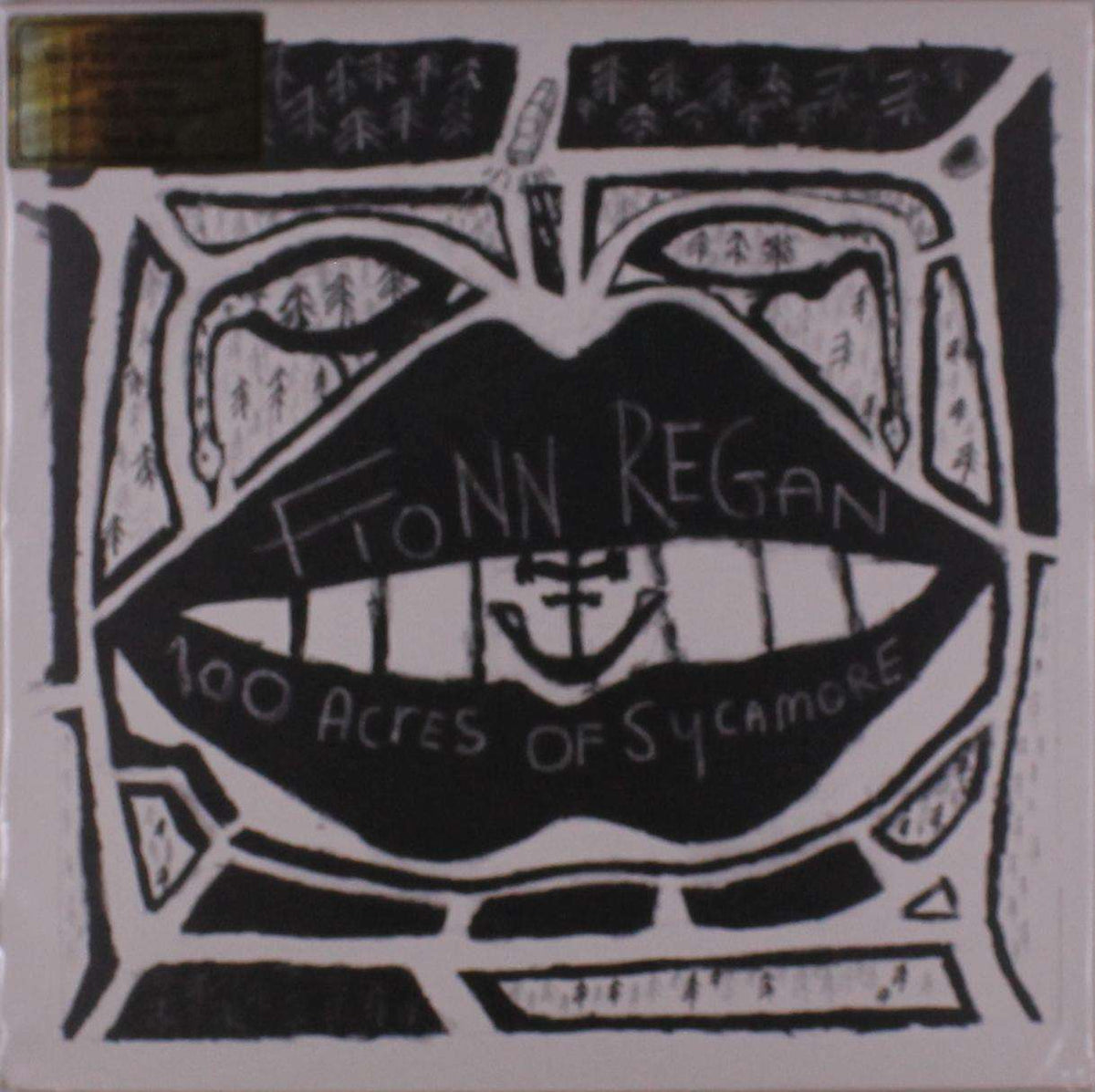 Osta Fionn Regan - 100 Acres Of Sycamore (LP) (Vinyyli) levy netistä ...